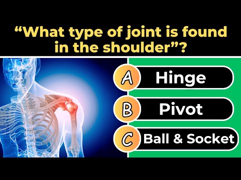 Human Body Quiz | General Knowledge Questions to Test Your Knowledge of ...