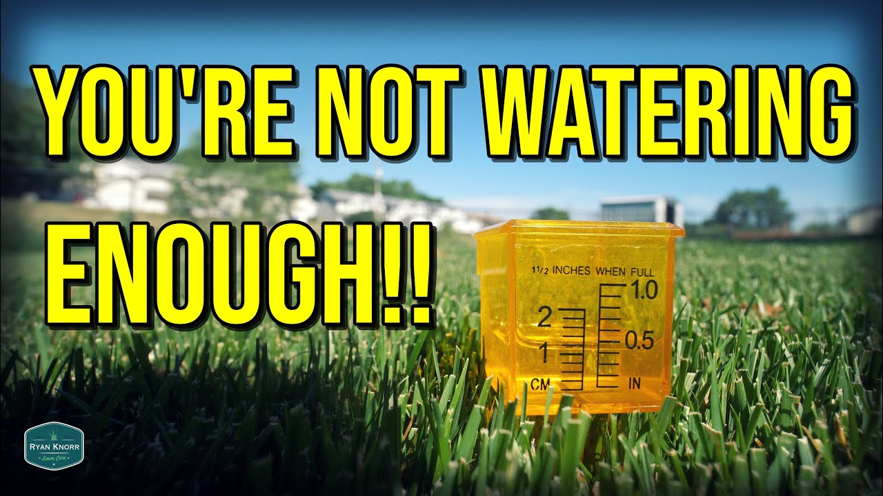 You're Probably NOT Watering ENOUGH... - YouTube