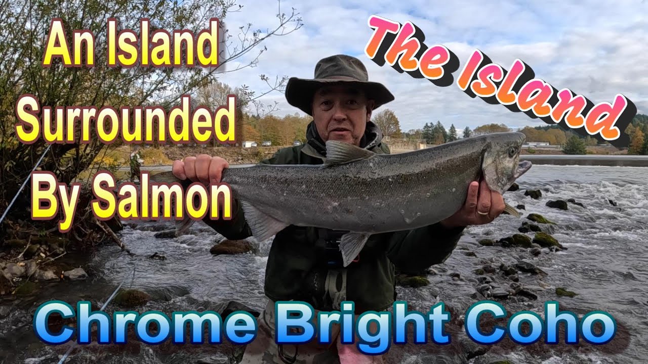 How To Catch Coho Salmon | Floating Eggs | Twithing Jigs - YouTube