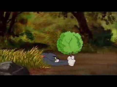 Tom and jelly cartoon - YouTube