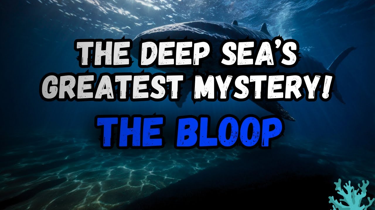 The Bloop: The Deep Sea's Greatest Mystery! - YouTube