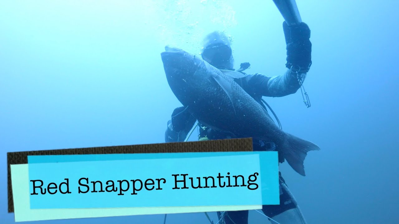 Destin Red Snapper Hunting - June 19, 2020 - YouTube
