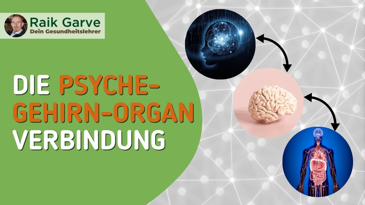 Die Psyche-Gehirn-Organ-Verbindung für ein ganzheitliches Verständnis ...
