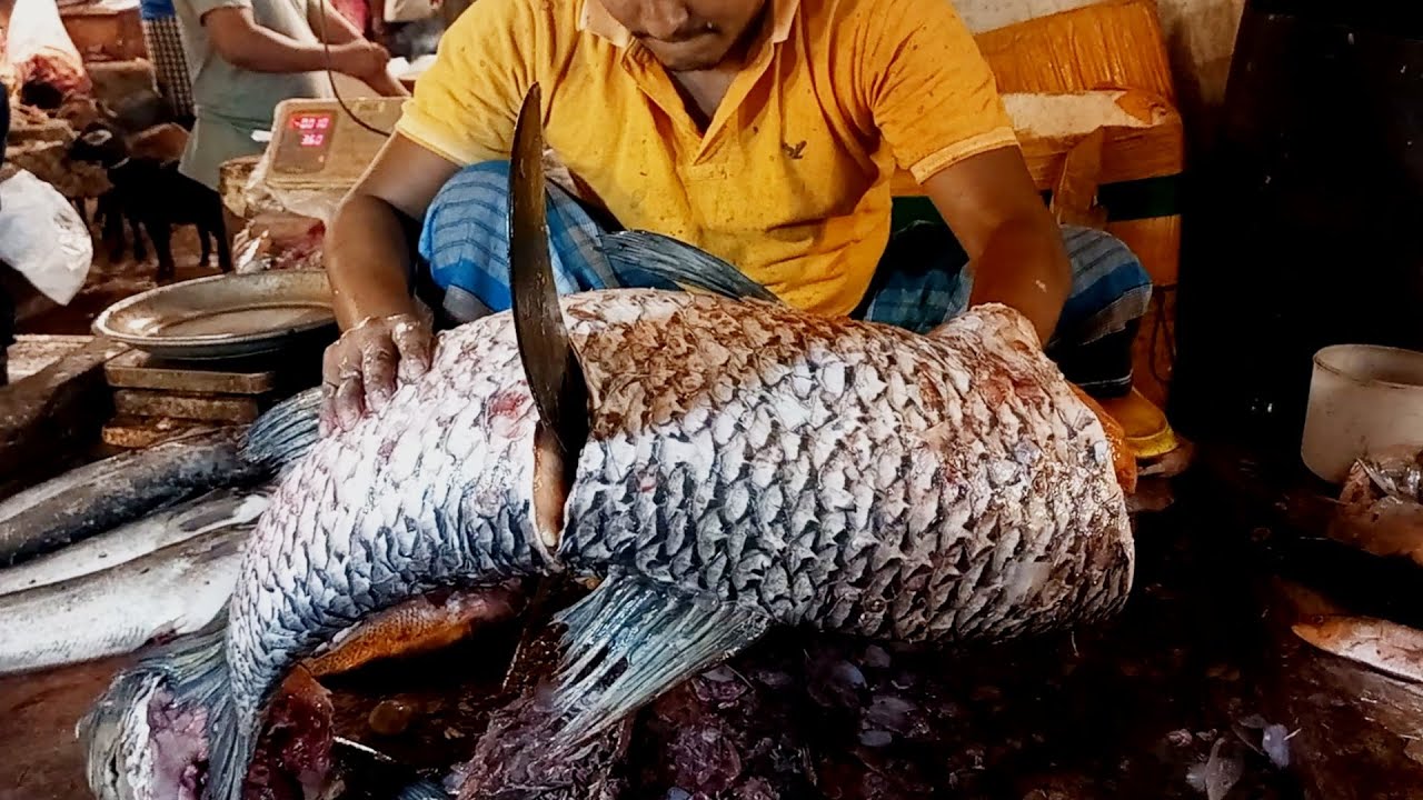 22kg Giant Black Carp Fish Cutting | Amazing Fish Cutting Skill - YouTube