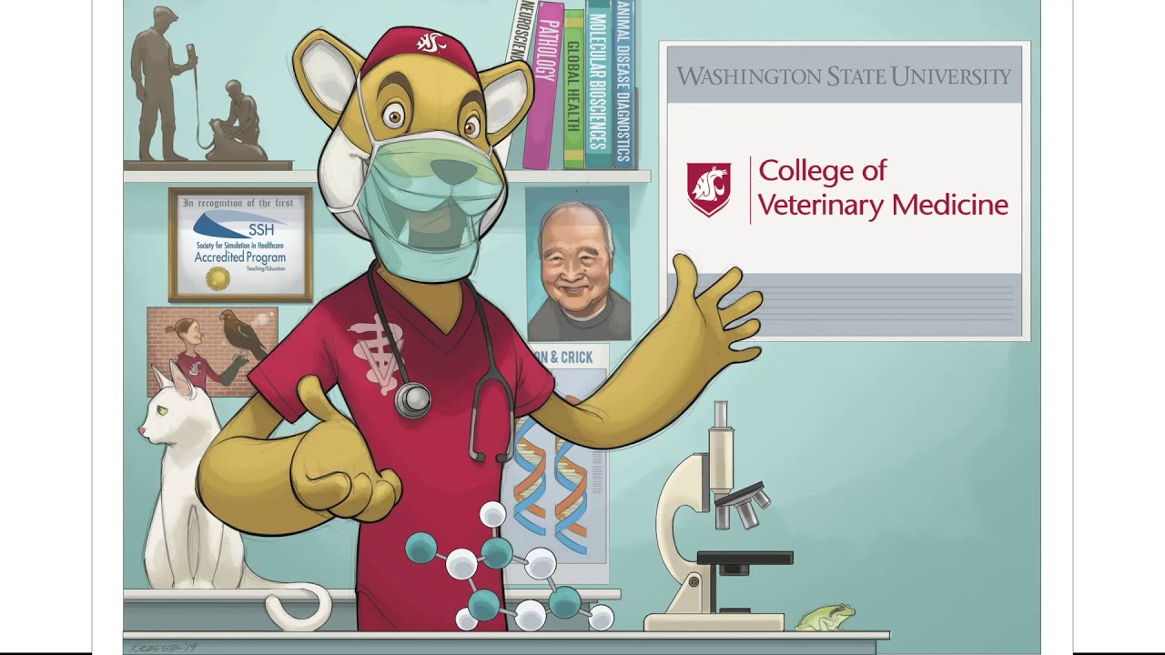 Human and Animal Well-being at the WSU College of Veterinary Medicine ...