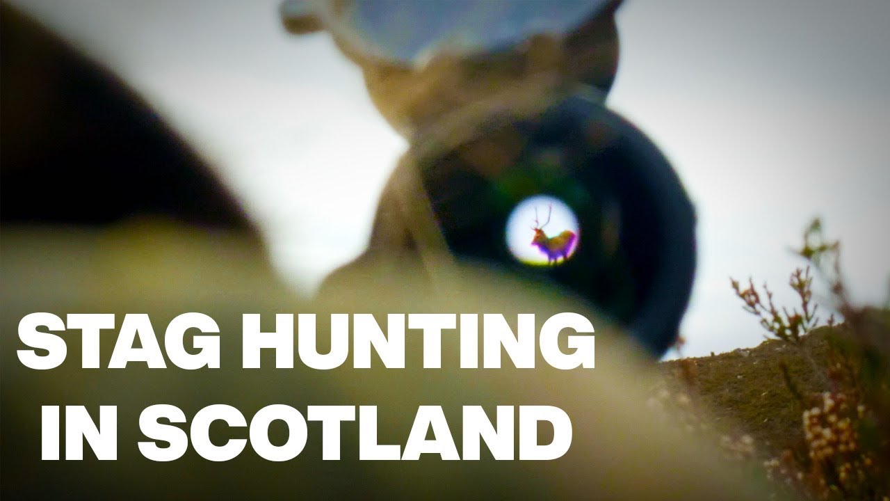 Stag Hunting in Scotland - YouTube