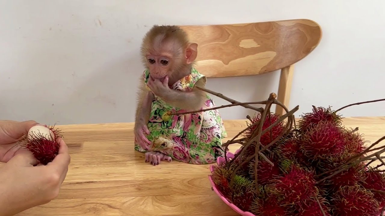 Really Good Behavior Little Queen Jenna Sit Orderly Wait For Mom Peel ...