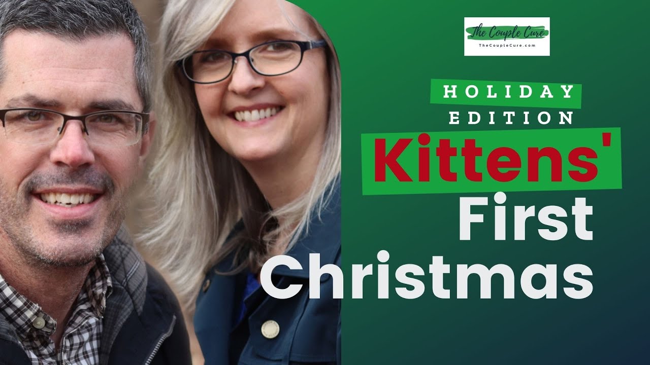 Kittens' First Christmas (2021) - YouTube