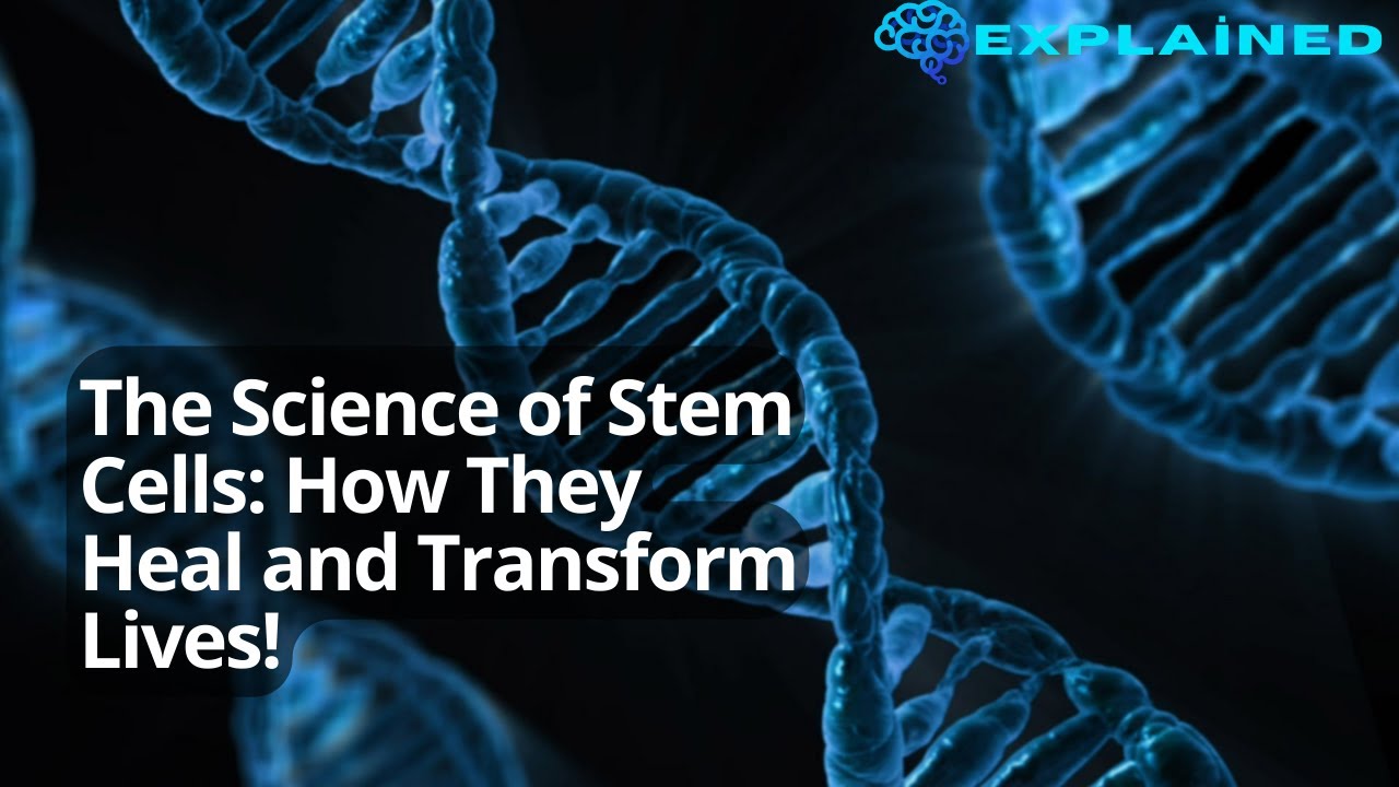 The Science of Stem Cells: How They Heal and Transform Lives! - YouTube