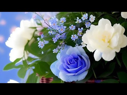 Bir müəllim üçün ən gözəl ad günü hədiyyəsi. 🥰😊