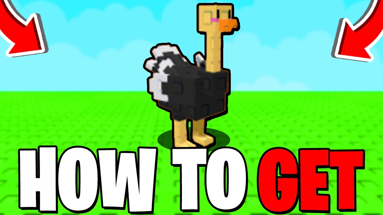 How To GET OSTRICH PET & SHOWCASE In Grow A Garden! Roblox - YouTube