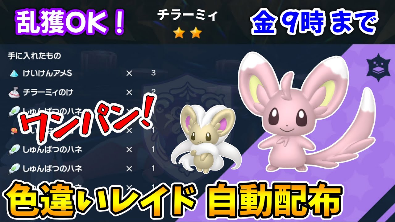乱獲ok!チラーミィ色違いレイド自動配布会!【ポケモンsv】 Youtube