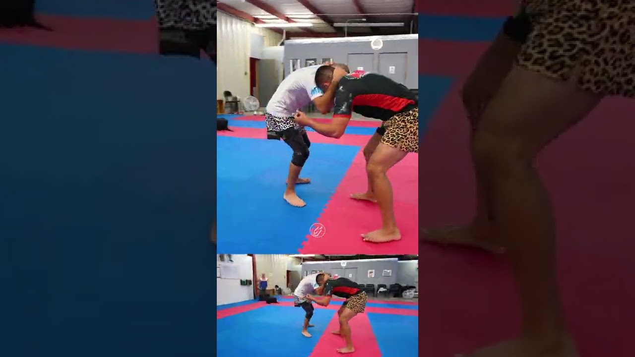 Wrestling Matrix Series 🤼‍♂️ | #shorts 🏆 - YouTube