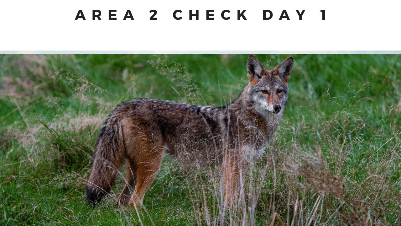 Area 2 Check Day 1 - YouTube