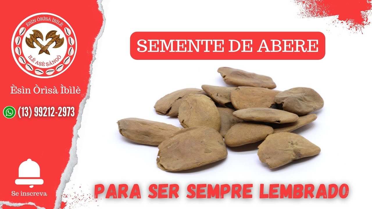 SEMENTE DE ABERE, RECEITA PARA SEMPRE SER LEMBRADO NO DIA A DIA - YouTube