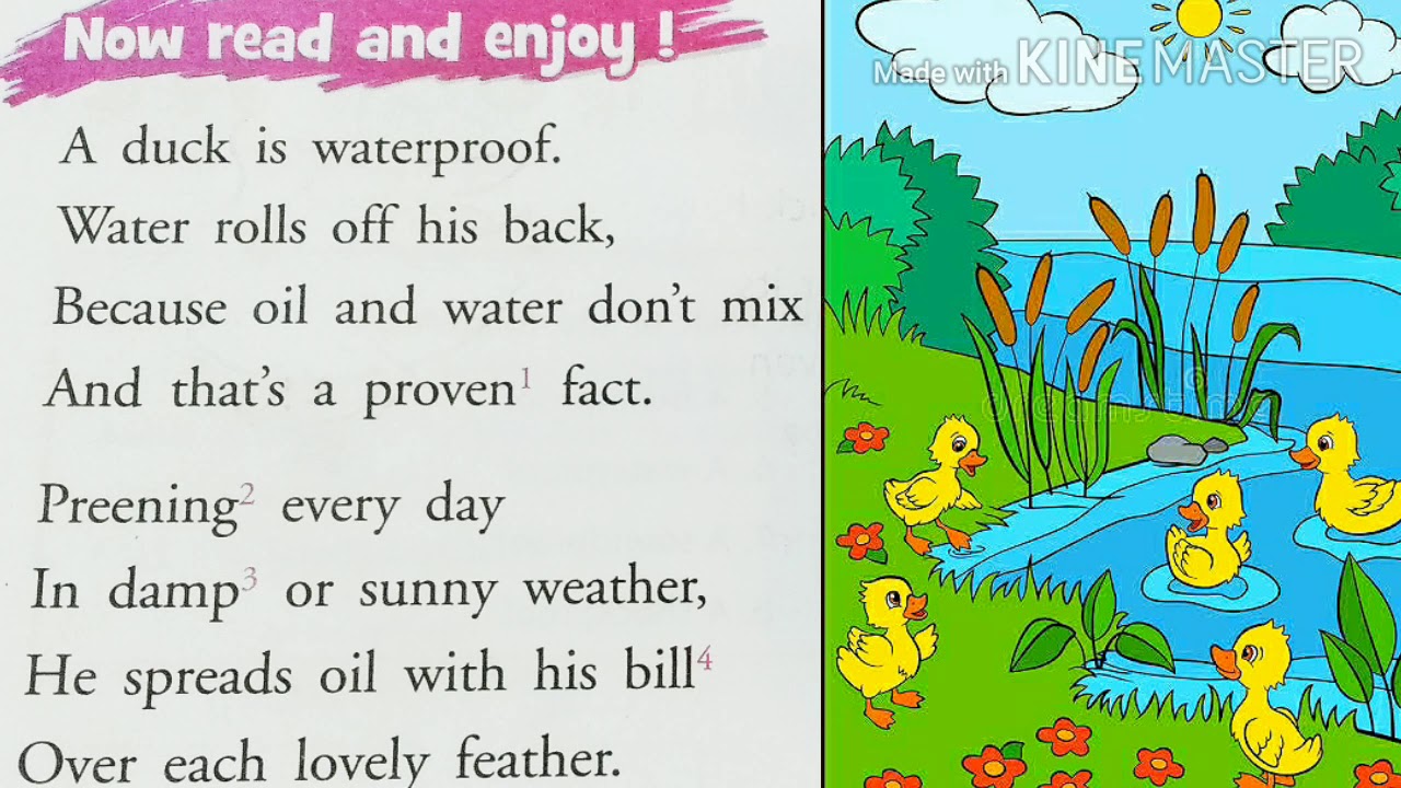 Ducks Don't Get Wet - YouTube