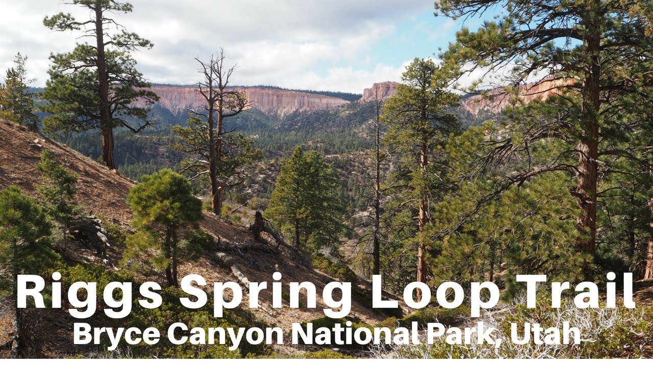 Hiking the Riggs Spring Loop Trail at Bryce Canyon National Park - YouTube