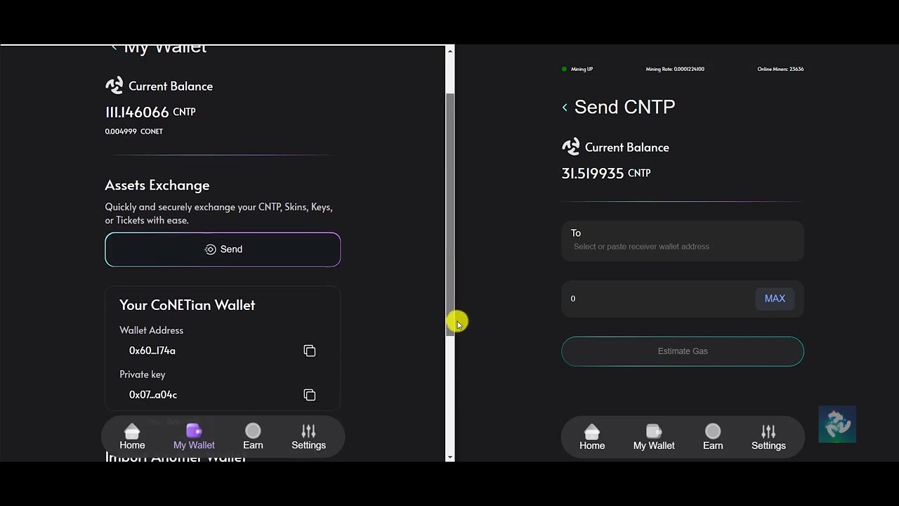 CoNET Network In-Game $CNTP Wallet Transfers - YouTube