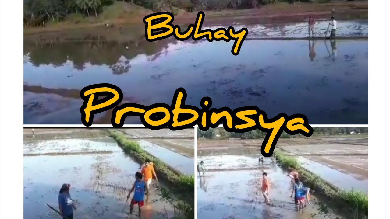 Probinsya - YouTube