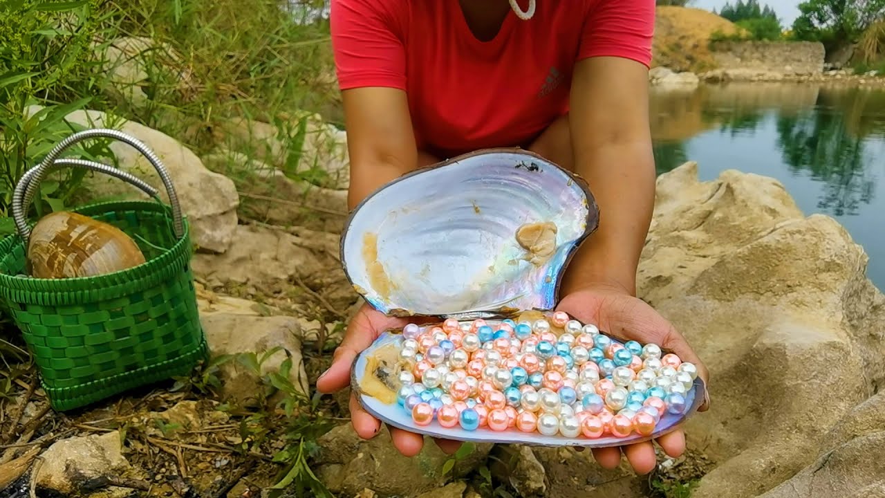 Remove pearls from the ugly clam and collect beautiful pink and blue ...