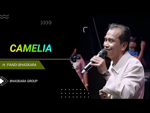 CAMELIA - H PANDI BHASKARA  | BHASKARA GROUP