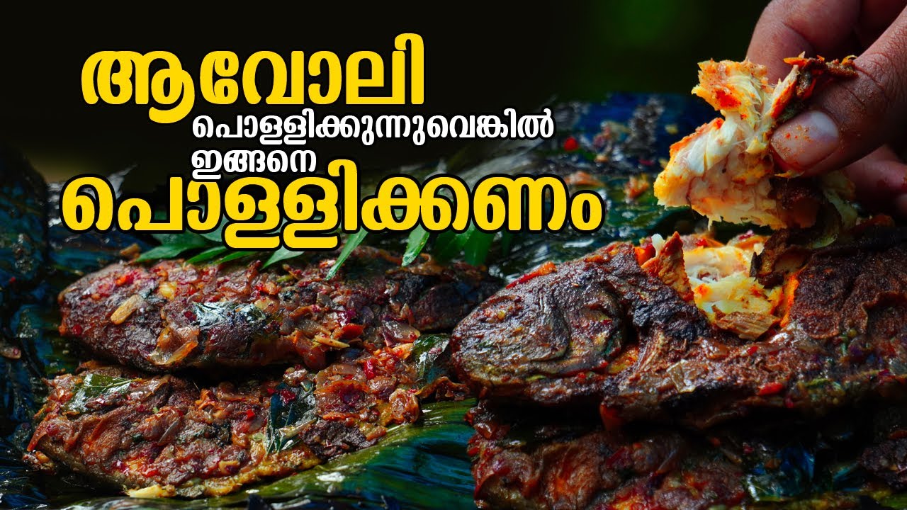 ആവോലി വാഴയിലയിൽ പൊള്ളിച്ചത് |avoli pollichath kerala style |village ...