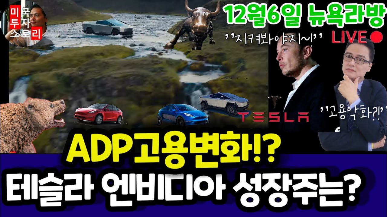 미국주식/ADP고용,블룸버그 전기차 보고서/테슬라 엔비디아 구글 애플 아마존 메타 마이크로소프트 리비안 소파이 팔란티어 ...