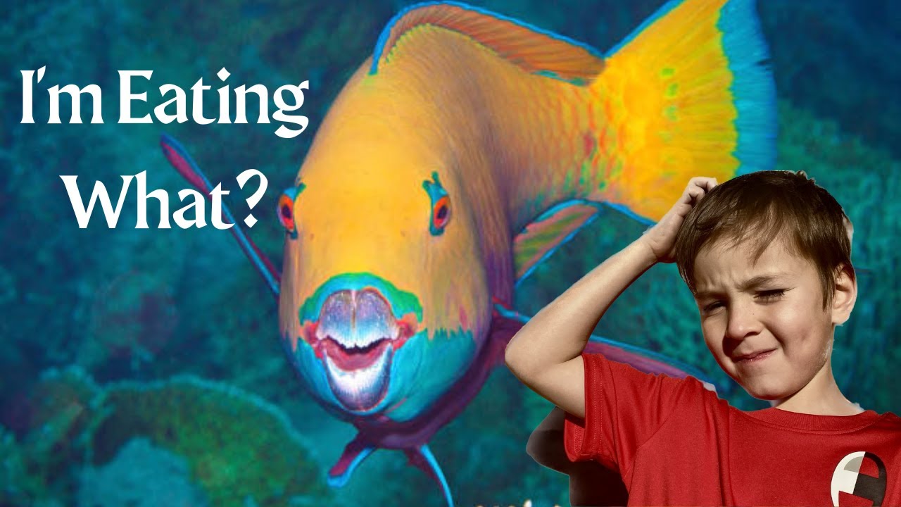 Eating the most colorful fish, Parrotfish! - YouTube