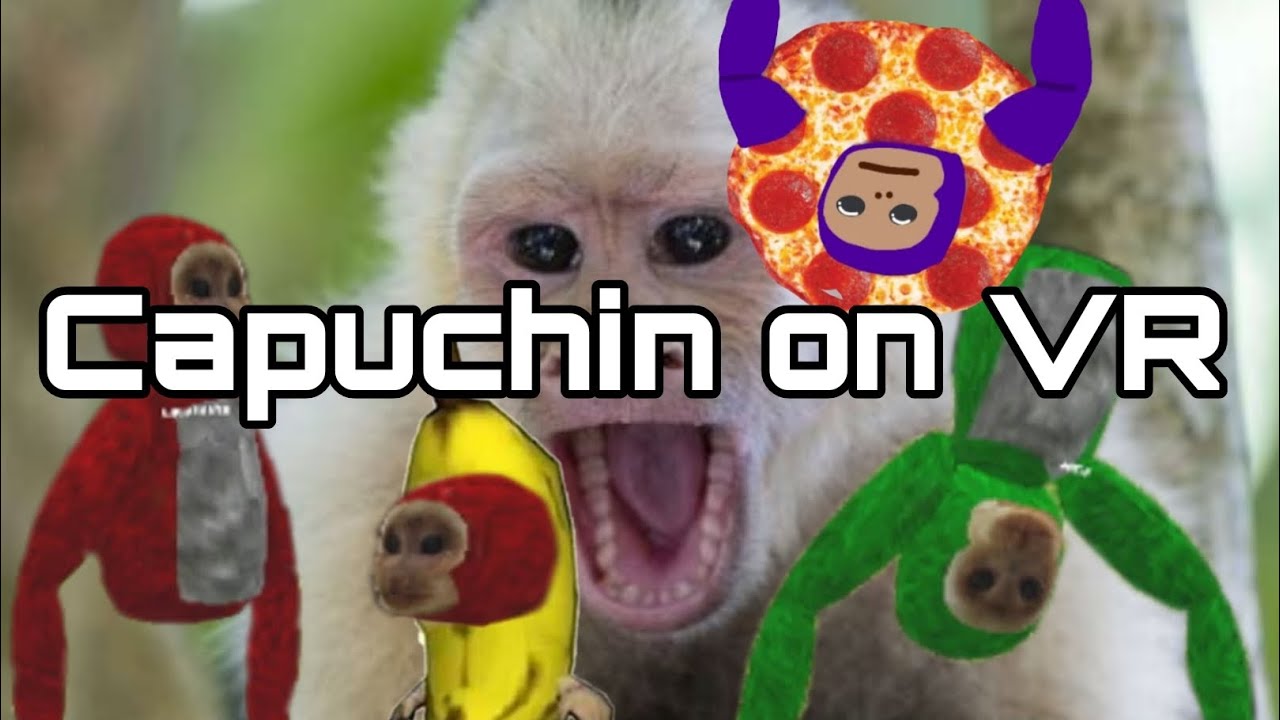 Capuchin gorilla tag fun game - YouTube