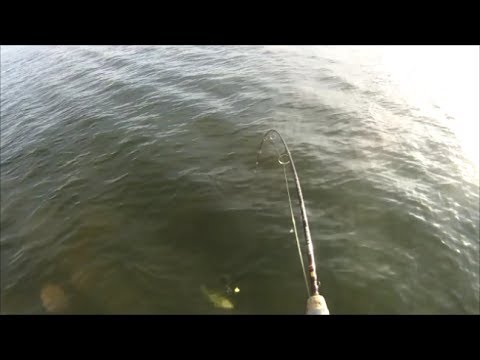 Bobber fishing for BIG bluegill in Shallow water 2017 Part 2 - YouTube