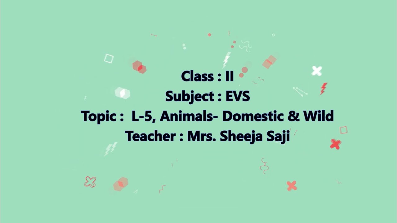 Class 2 EVS Ch-5, Animals : Domestic & Wild | Mrs. Sheeja Saji - YouTube