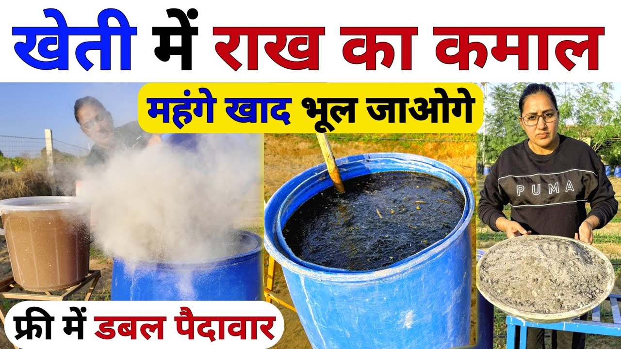 खेती में राख का चमत्कार देखकर 🤗 मंहगे खाद डालना भूल जाओगे | kheti me ...