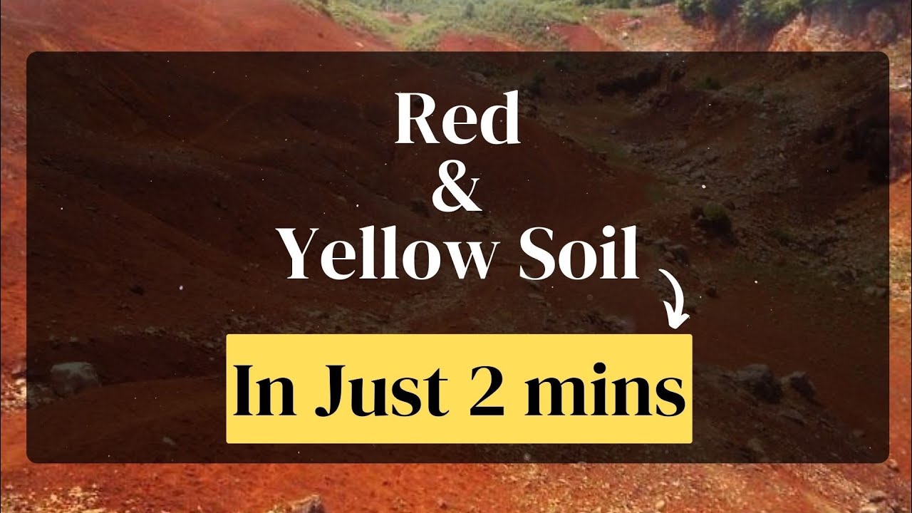 What is Red & Yellow Soil| Formation | Features|Texture | Location ...