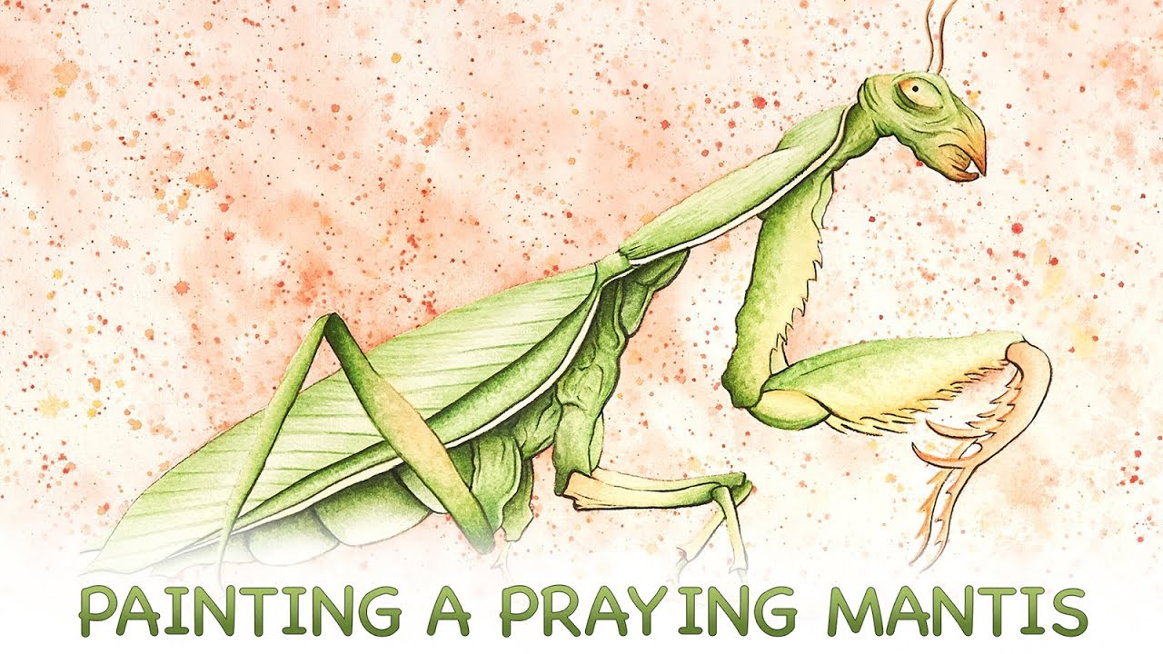 Painting a Watercolor Praying Mantis - Full Painting - Time lapse - YouTube