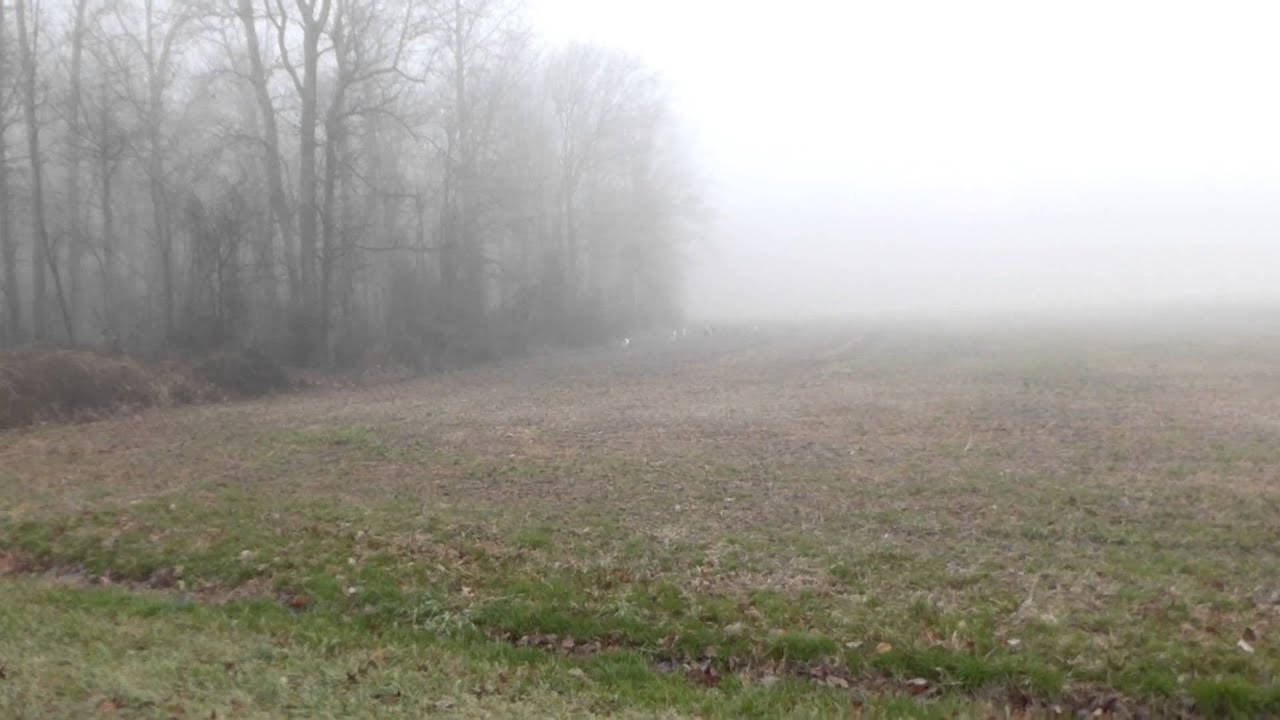 January 2, 2014 - VERY heavy, frozen fog - YouTube