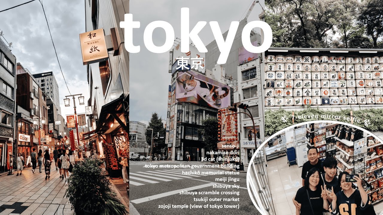 tokyo vlog 2024 (3D cat, meiji-jingu, senso-ji, tsukiji outer market ...