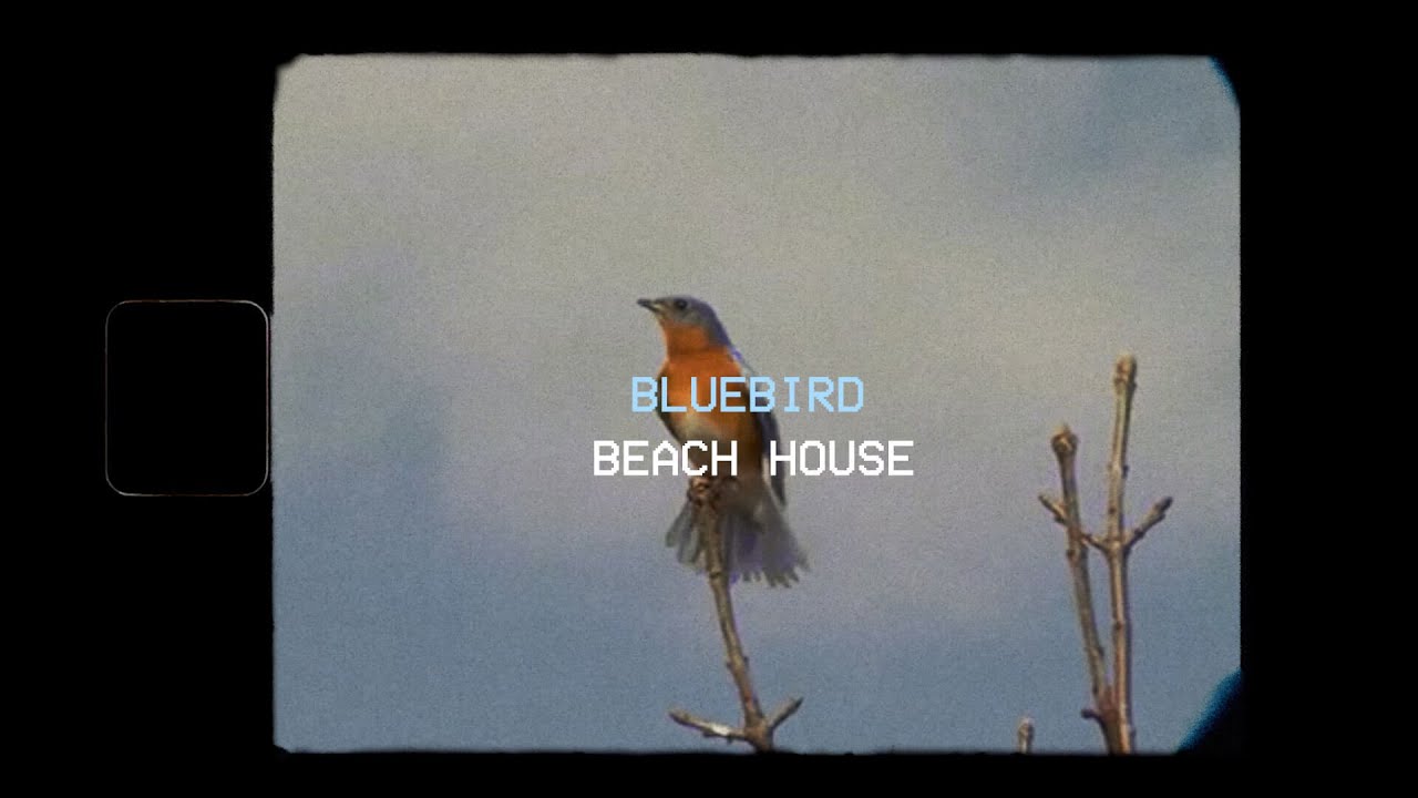 [Vietsub Lyrics] Bluebird - Beach House - YouTube