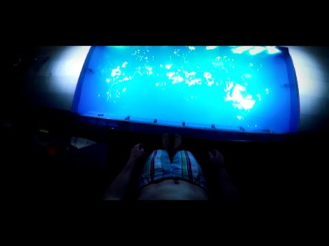 Epic Swimming Pool Diving 2015