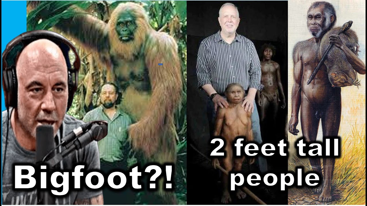 Joe Rogan & Kurt Metzger Bigfoot is Real?! & Two feet tall people ...