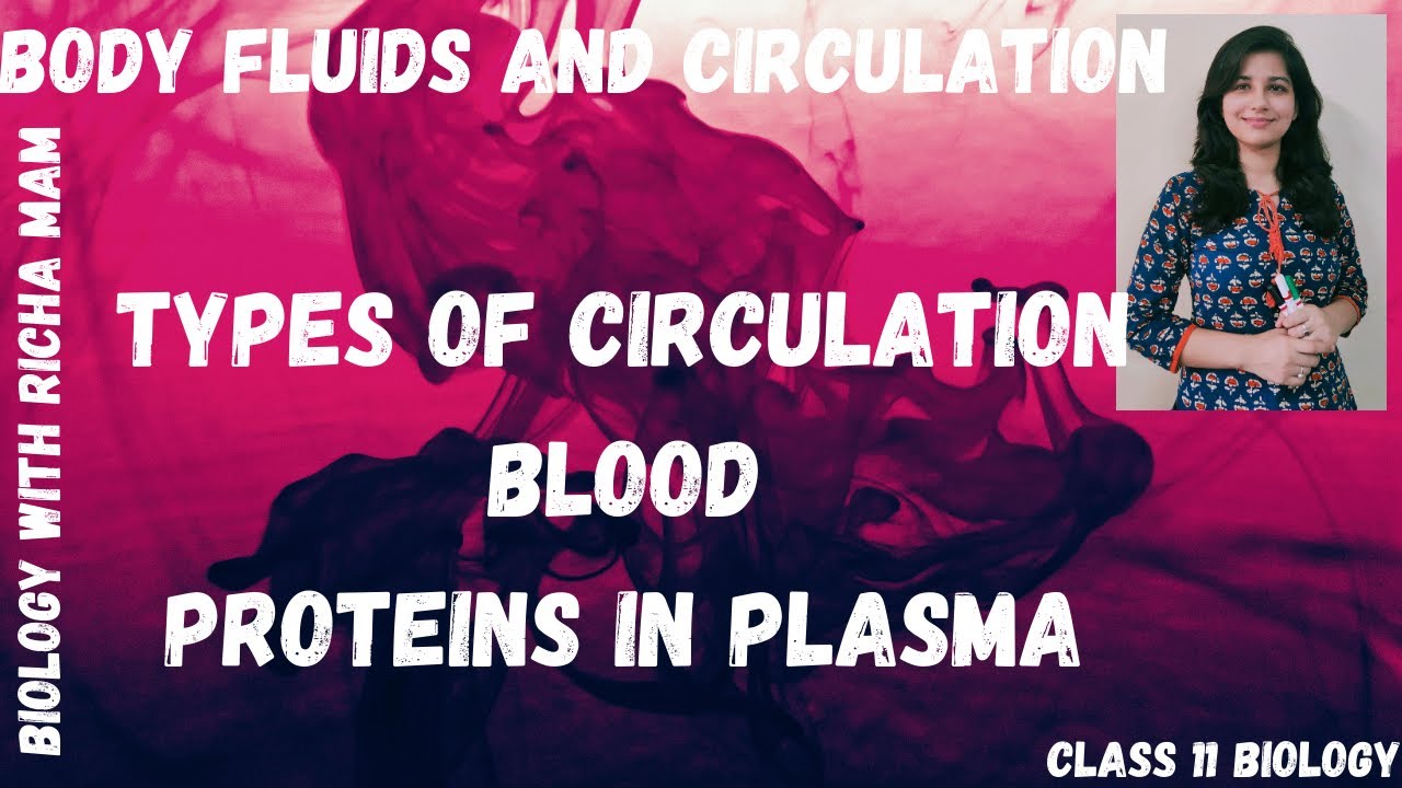 TYPES OF CIRCULATION || BLOOD || PLASMA || IMPORTANT PROTEINS IN PLASMA ...