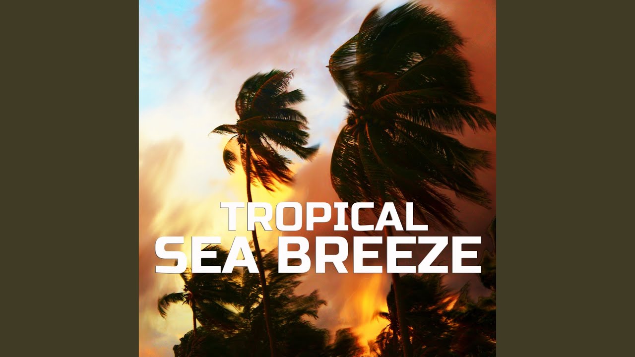 Tropical Sea Breeze - YouTube