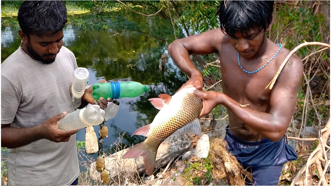 💯Fishing Bait | Best bait video | Incredible Red Bellied Fishing Ball ...