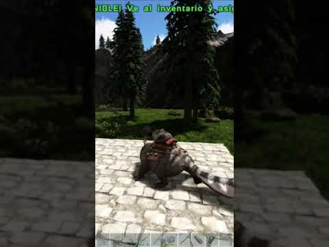 COMO SER INVISIBLE EN ARK #shorts - YouTube