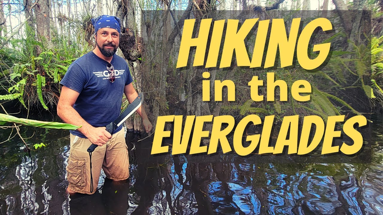 Hiking in the Everglades | Camping in the Swamp | GTD Swamp Thing - YouTube