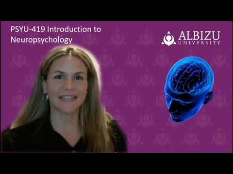 Video Intro Neuropsychology - YouTube