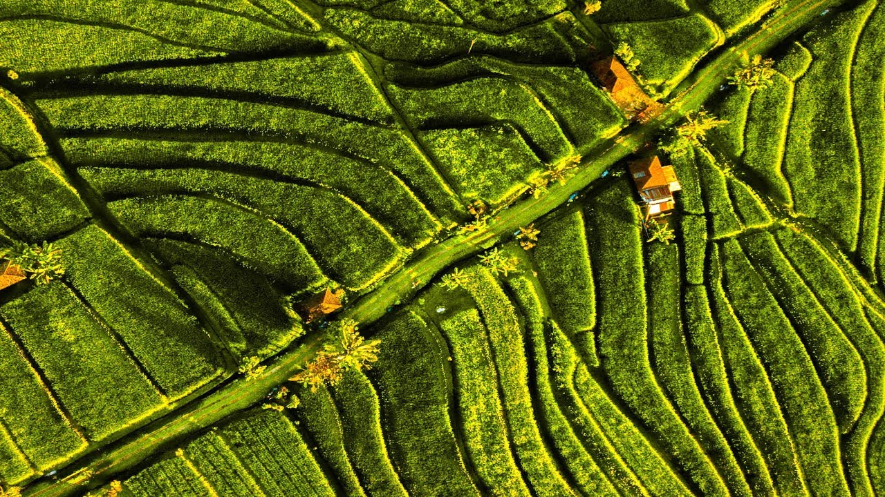 Leading Lines Photography Tips // DRONE PHOTOGRAPHY IDEAS - YouTube