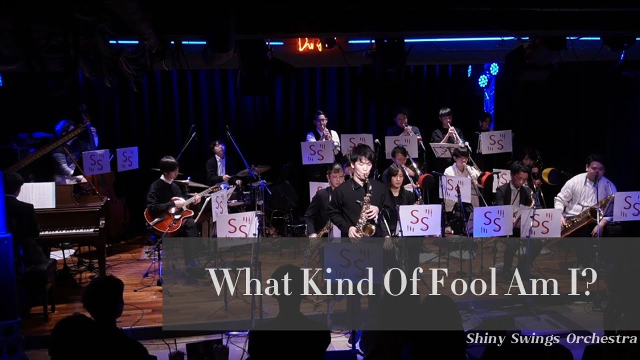 What Kind Of Fool Am I? / Shiny Swings Orchestra (2025.02) - YouTube