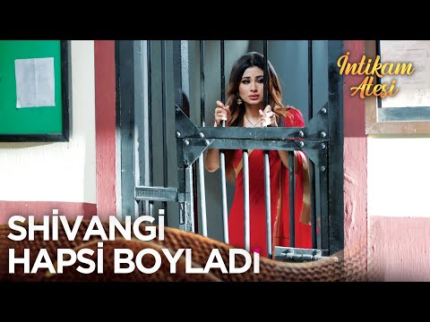 Şekil Değiştiren Yılan Yakayı Ele Verdi | İntikam Ateşi