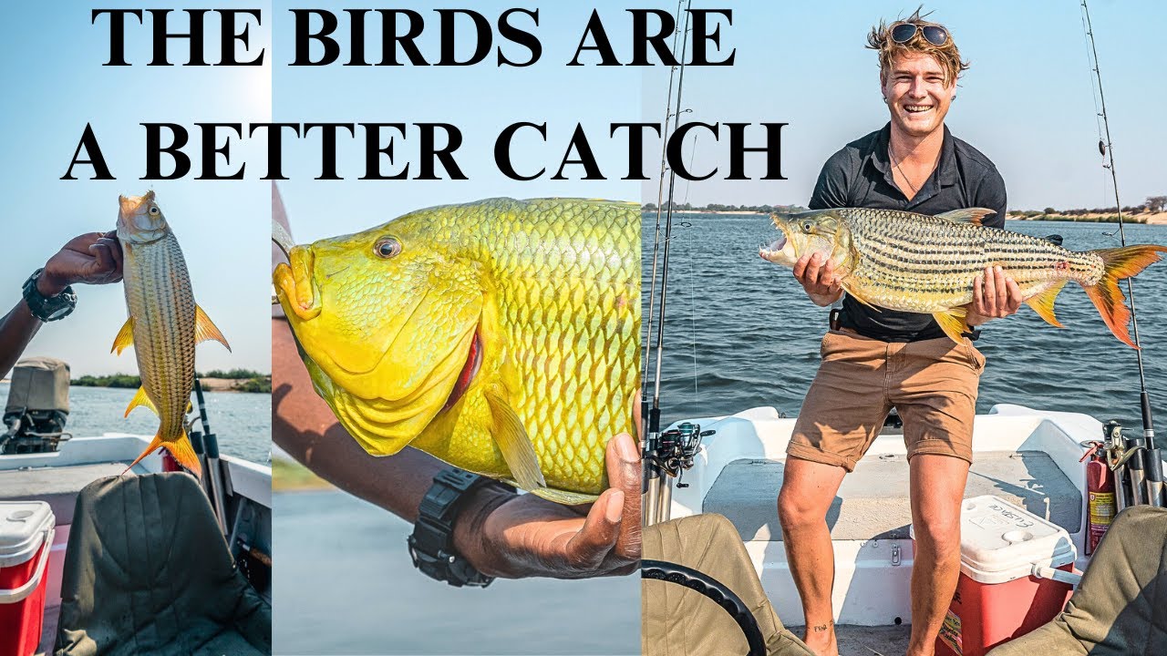 TIGER FISHING on the ZAMBEZI RIVER NAMIBIA - YouTube