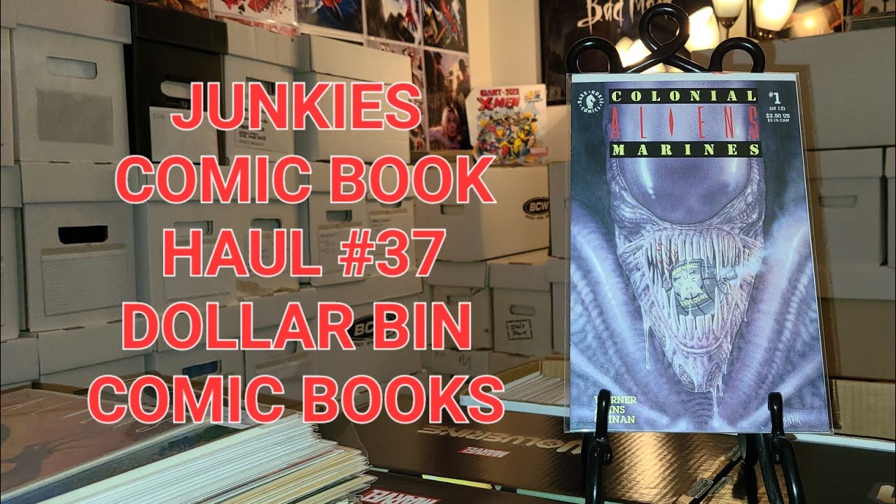 JUNKIES COMIC BOOK HAUL #37, DOLLAR BIN COMIC BOOKS. - YouTube